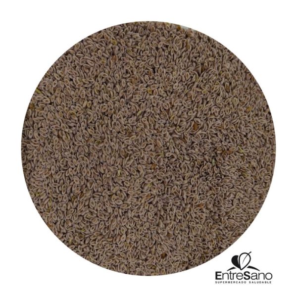 Semilla Psyllium 100gr Fracc - Entresano